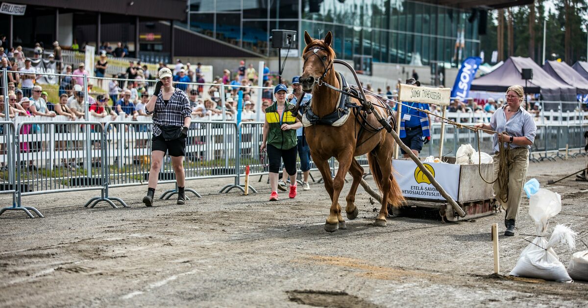 Farmari | Suomenhevosvetojen kilpailutulokset
