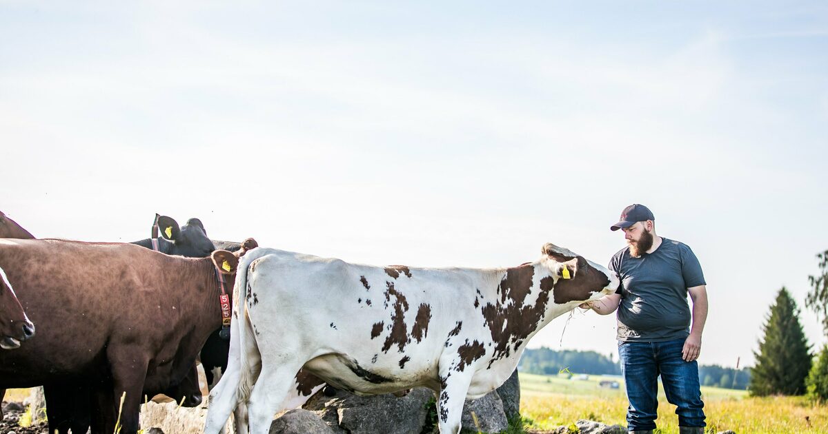 Farmari | Kävijälle