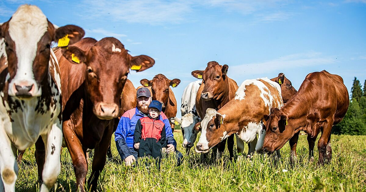 Farmari | Farmarin App on avautunut