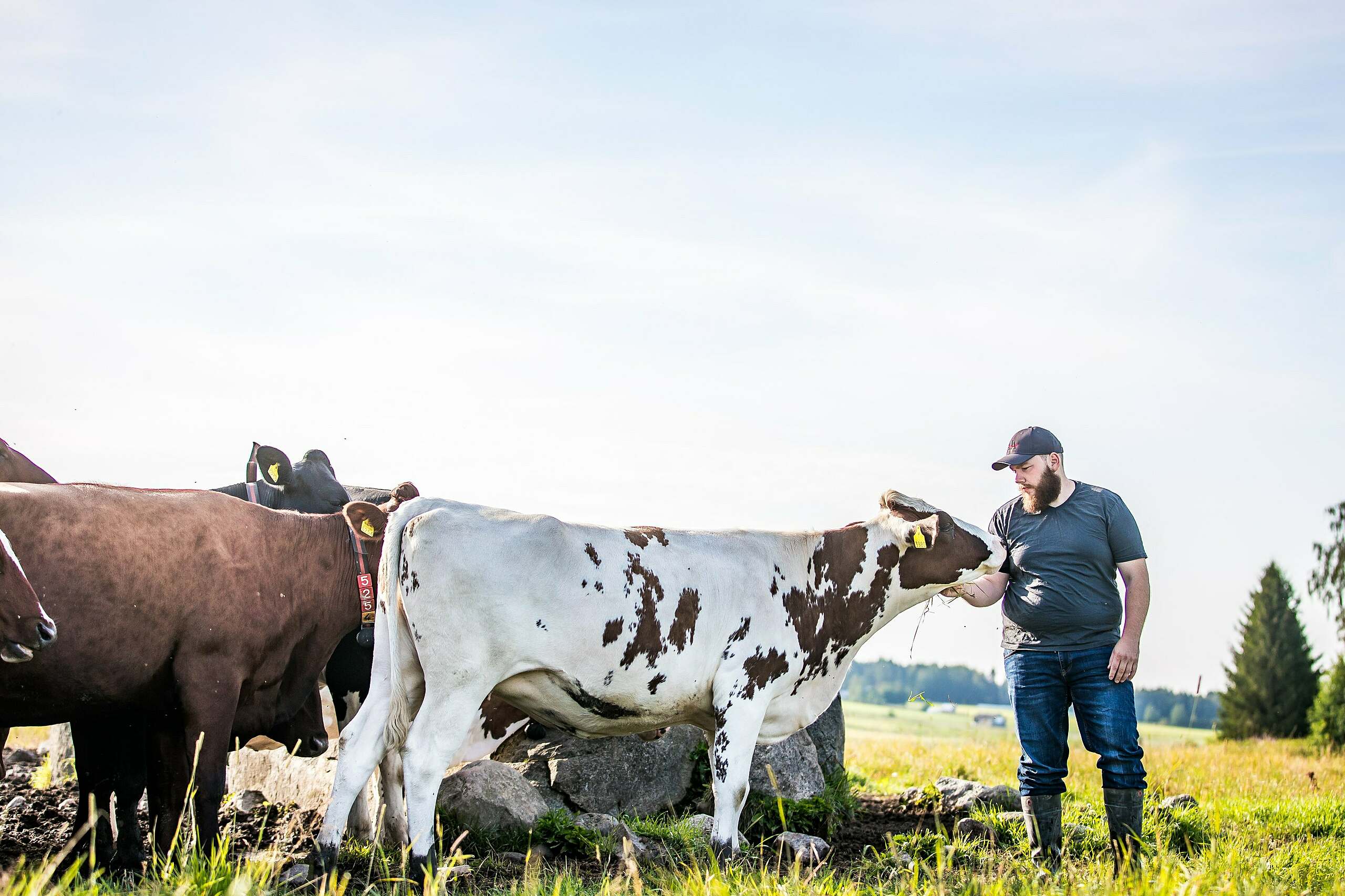 Farmari | Kävijälle